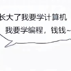 程序员1998 