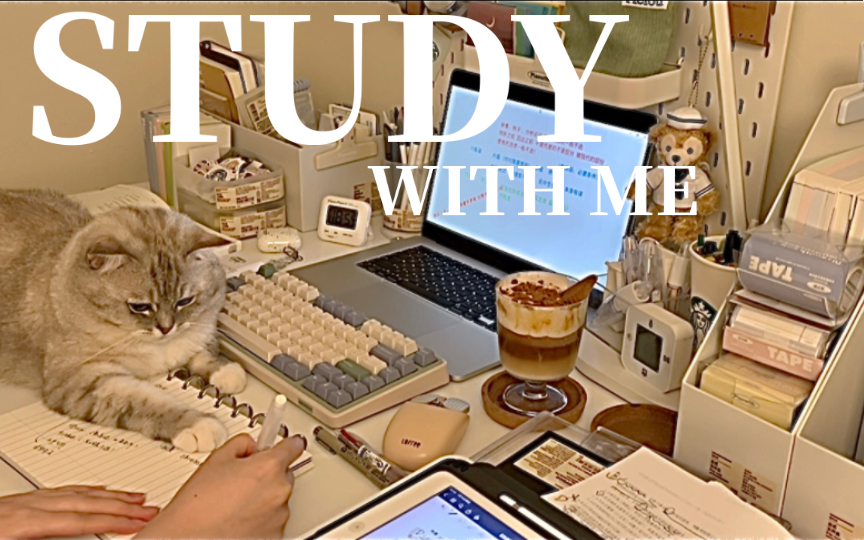 ...手头该做的事|实时学习1小时|沉浸式学习|白噪音|焦糖饼干拿铁|Python