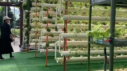 观光科研农业,多种无土栽培模式集一体。可种植,可科研可种植。