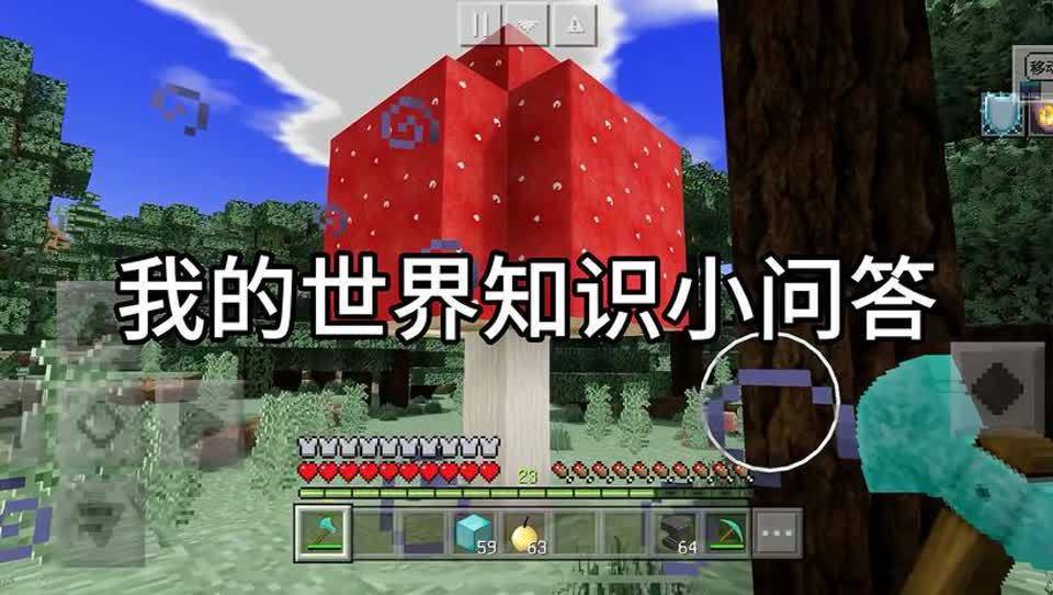 我的世界:小问答