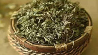 还不懂艾草叶要留心,家里记得放一把在家里,用途可真不少,学学