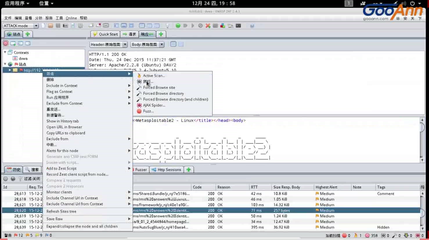 OWASP_ZAP 截断代理、主动、被动扫描