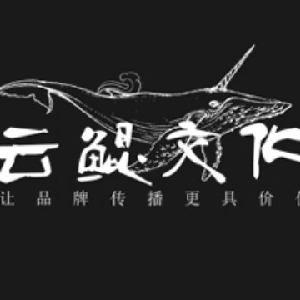 云鲲文化 