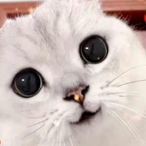 俺是皮卡乒乓球 