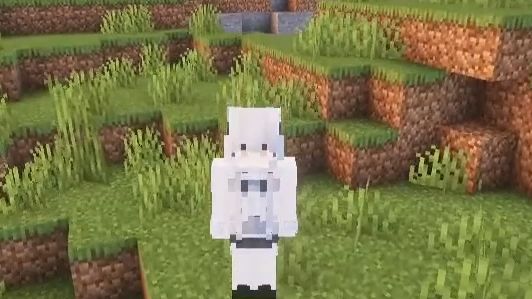 一位火星新人up主的自我介绍_我的世界_新人向