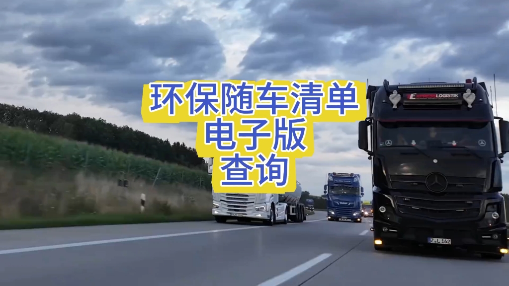 如何查询环保随车清单?教你一个新方法!