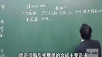 生物高中必修1__第3章第2节·细胞器——系统内的分工合作