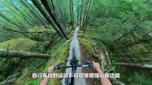 自行车越野运动对身体有哪些好处和坏处?