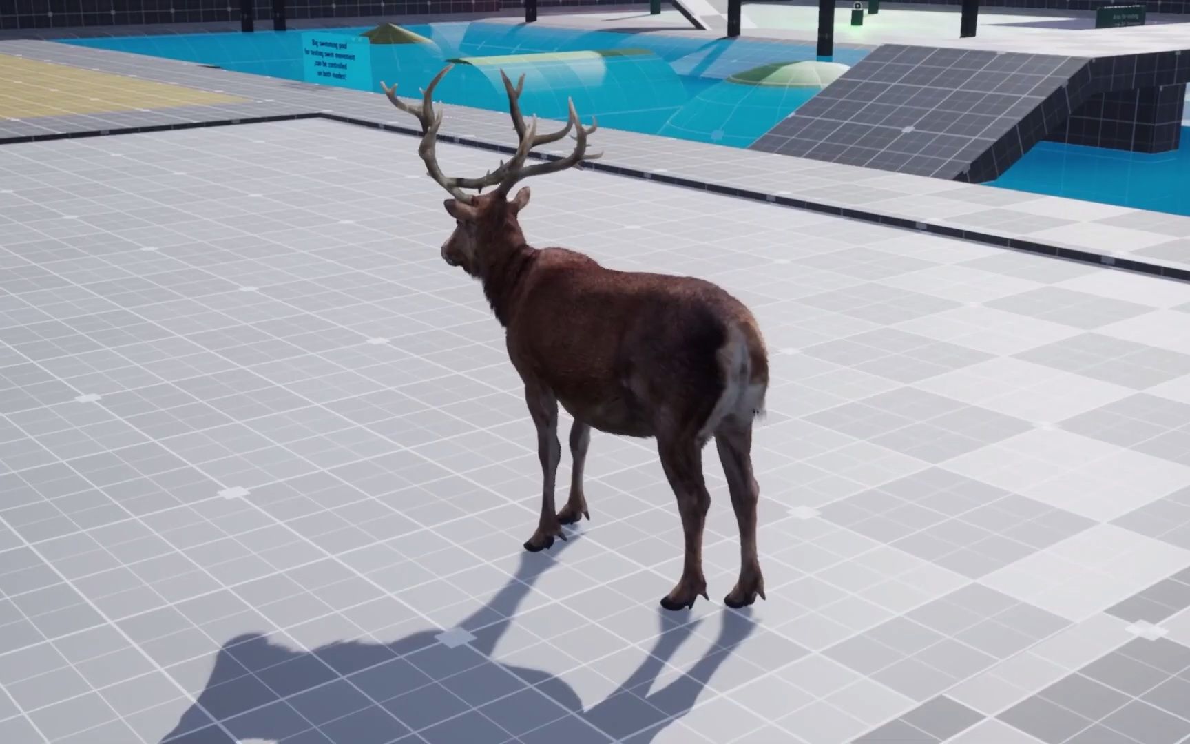 【UE5】森林动物 AnimX: Forest Animals