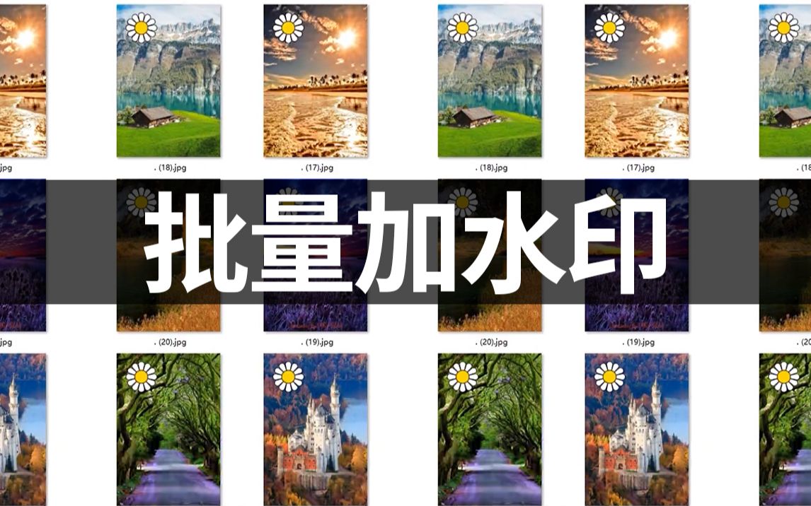 【ps教程】你还在担心图片被盗吗?二十秒学会批量加水印,