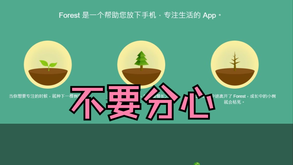 我用它一个月,电脑里长出了一整片森林ߍ