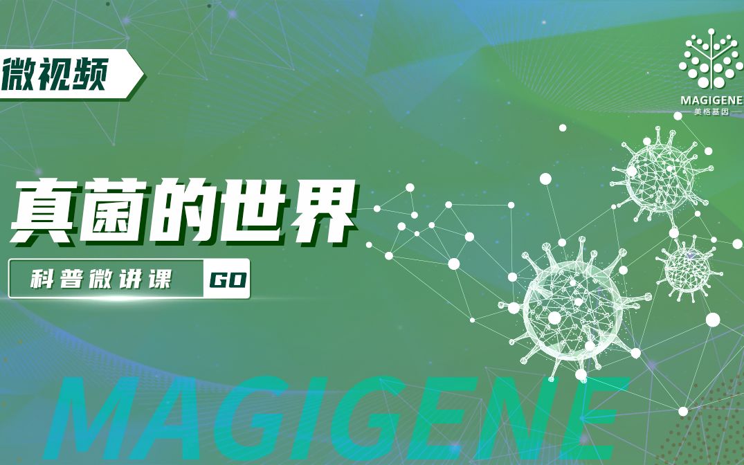科普微视频-真菌的世界