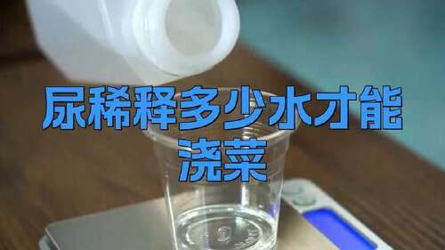 尿肥稀释黄金比例!这样浇菜安全又爆长