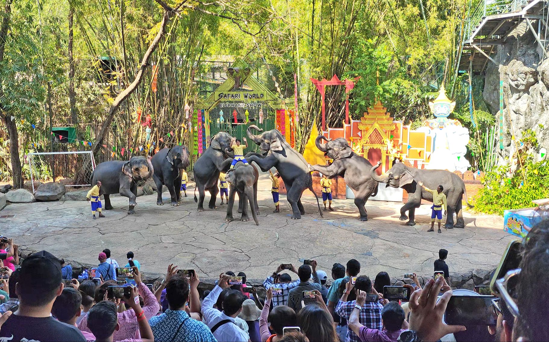 曼谷野生动物园 大象表演