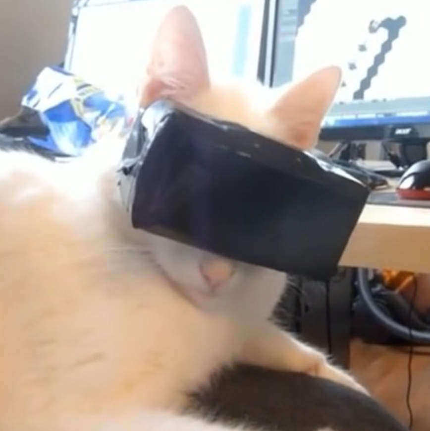 元宇宙的猫eth 