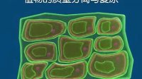 高中生物动画3D视频生命的基本单位细胞:植物的质壁分离与复原