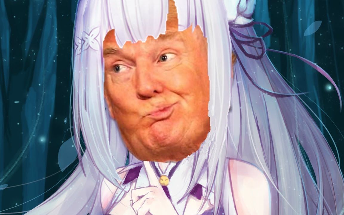 Re从零开始的川普总统冒险!Mr president