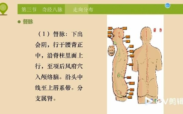 12.奇经八脉