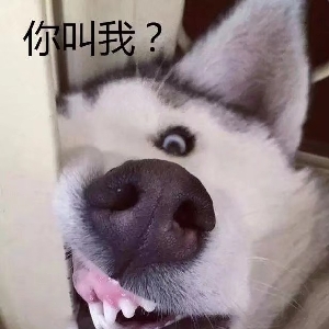 貂利略 