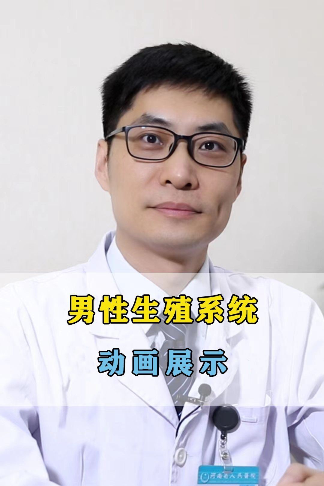 男性生殖系统动画展示