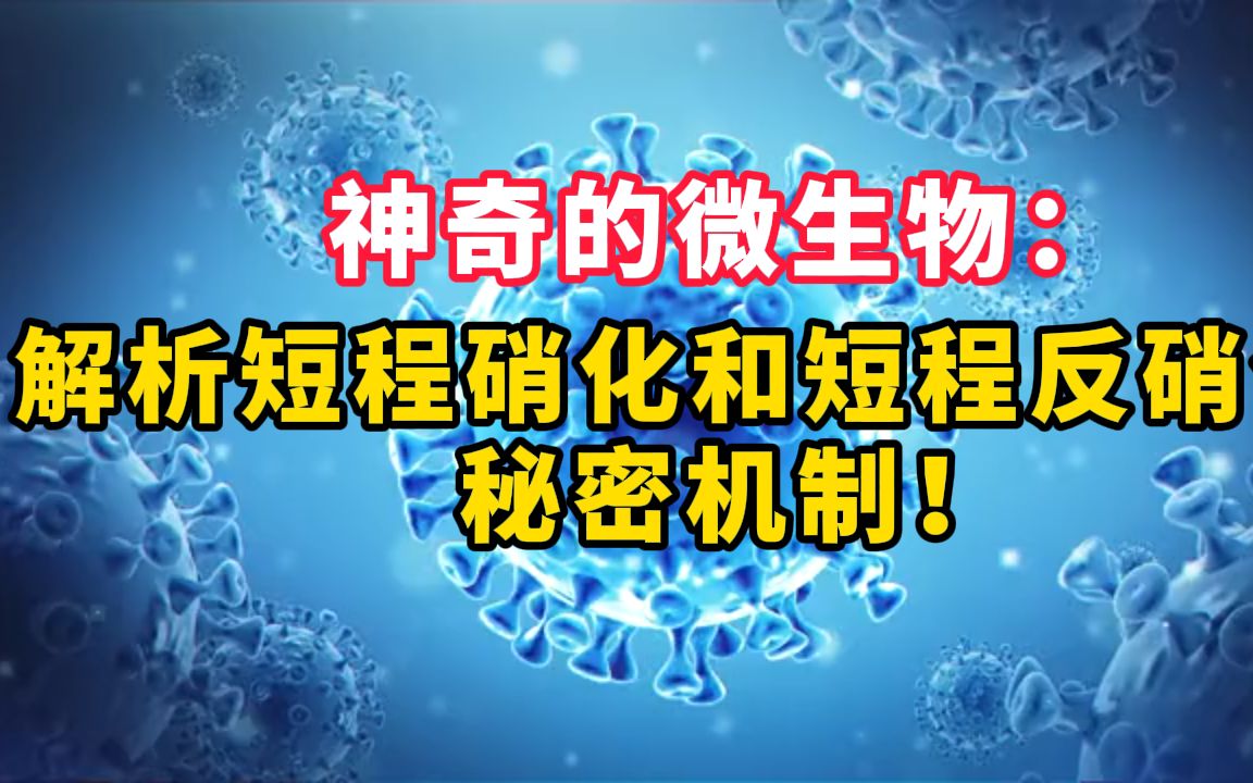 神奇的微生物:解析短程硝化和短程反硝化的秘密机制!