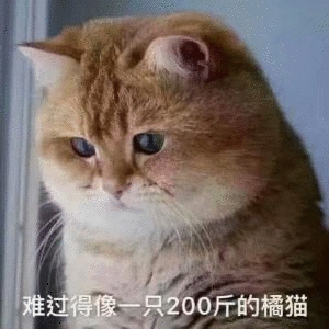 一库一库一库一库一库一库233 