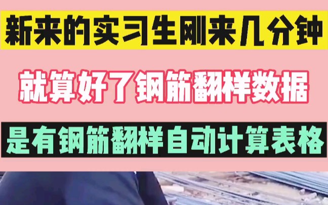 ...的实习生刚来几分钟就算好了钢筋数据,原来是有钢筋翻样自动计算表格