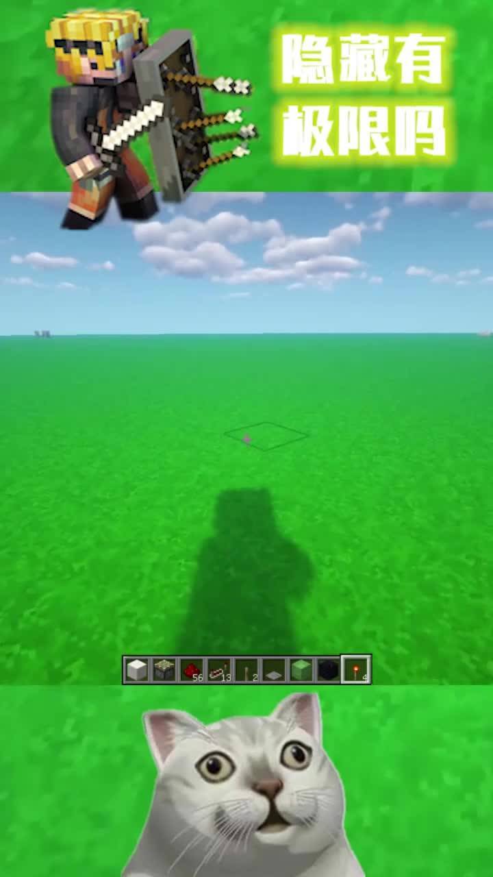 MC:隐藏门的极限就是,没门