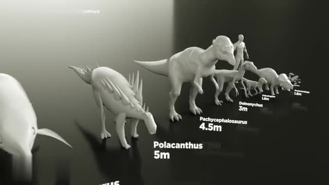 恐龙模型大集合,通过模型对比它们的体型