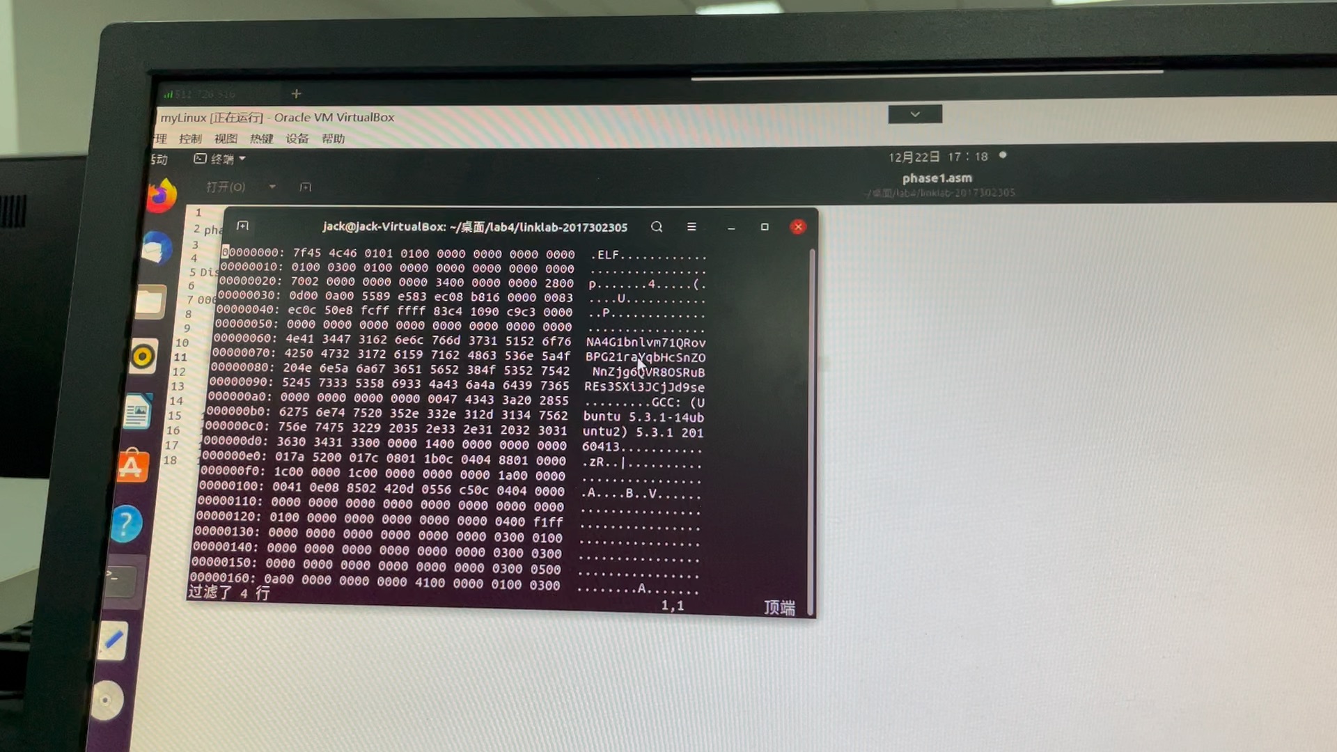 计基实验/elf文件与链接/助教讲解cwb倾情补充߈�️