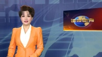 4月6日,铜陵市政府2020年第5次常务会议召开