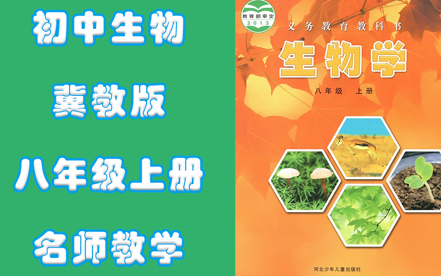 八年级上册生物冀教版名师同步教学