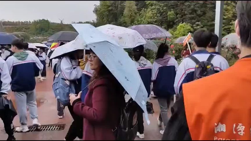 劳动研学和社会实践,最好的学习在路上!