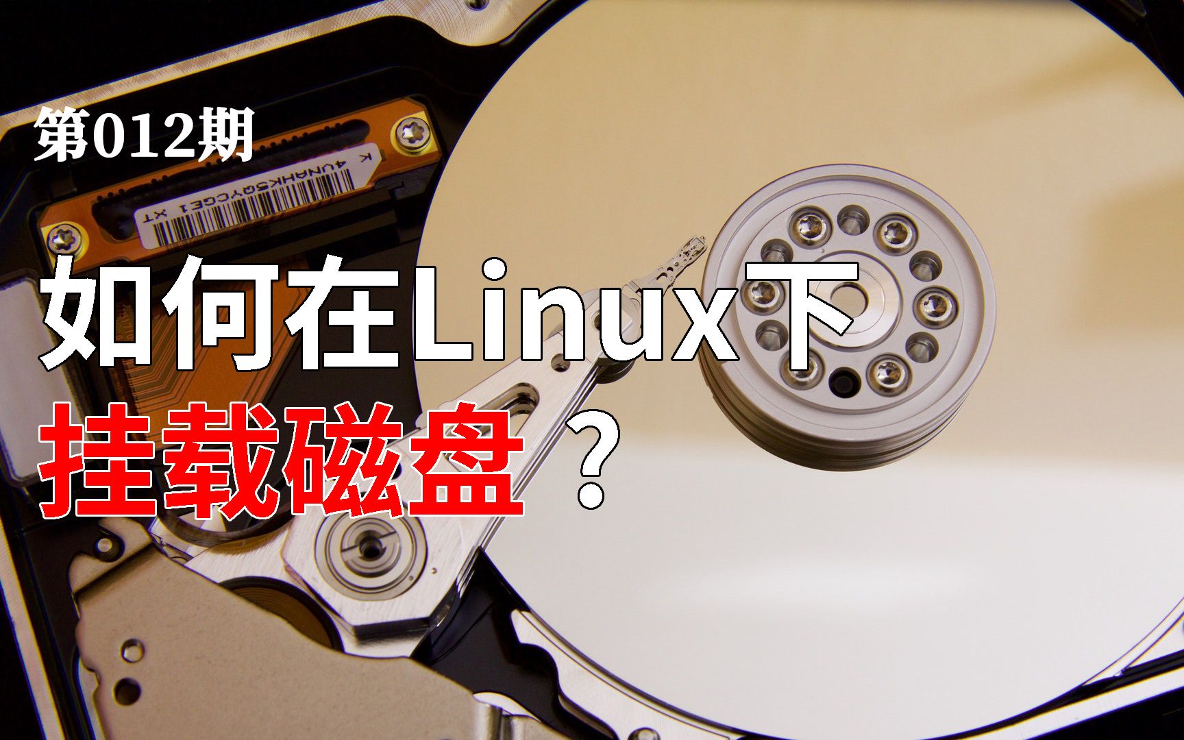 【雕虫小技】 如何在Linux下挂载U盘或者移动硬盘?