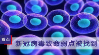 这下真的有救了?科学家放出好消息,新冠病毒“致命弱点”被发现