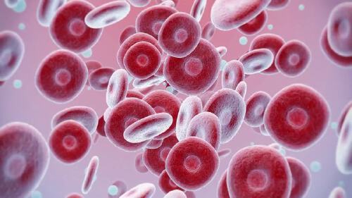 体检发现中性粒细胞偏高?别慌!专家教你三招科学应对