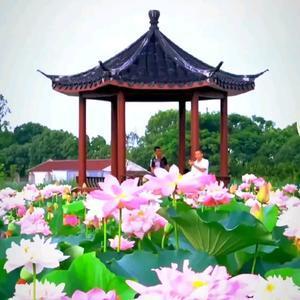 爱思考的爱说实话