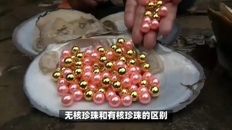 无核珍珠和有核珍珠的区别可不止一点两点哦,快戳进来了解!