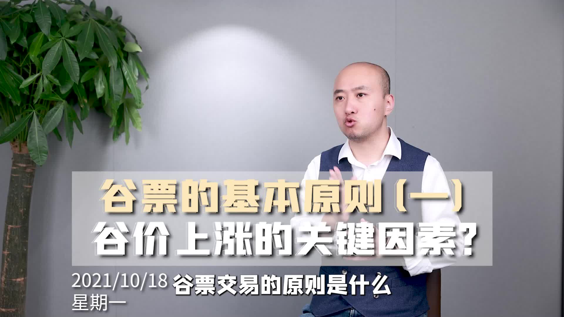 谷价上涨啥最关键?