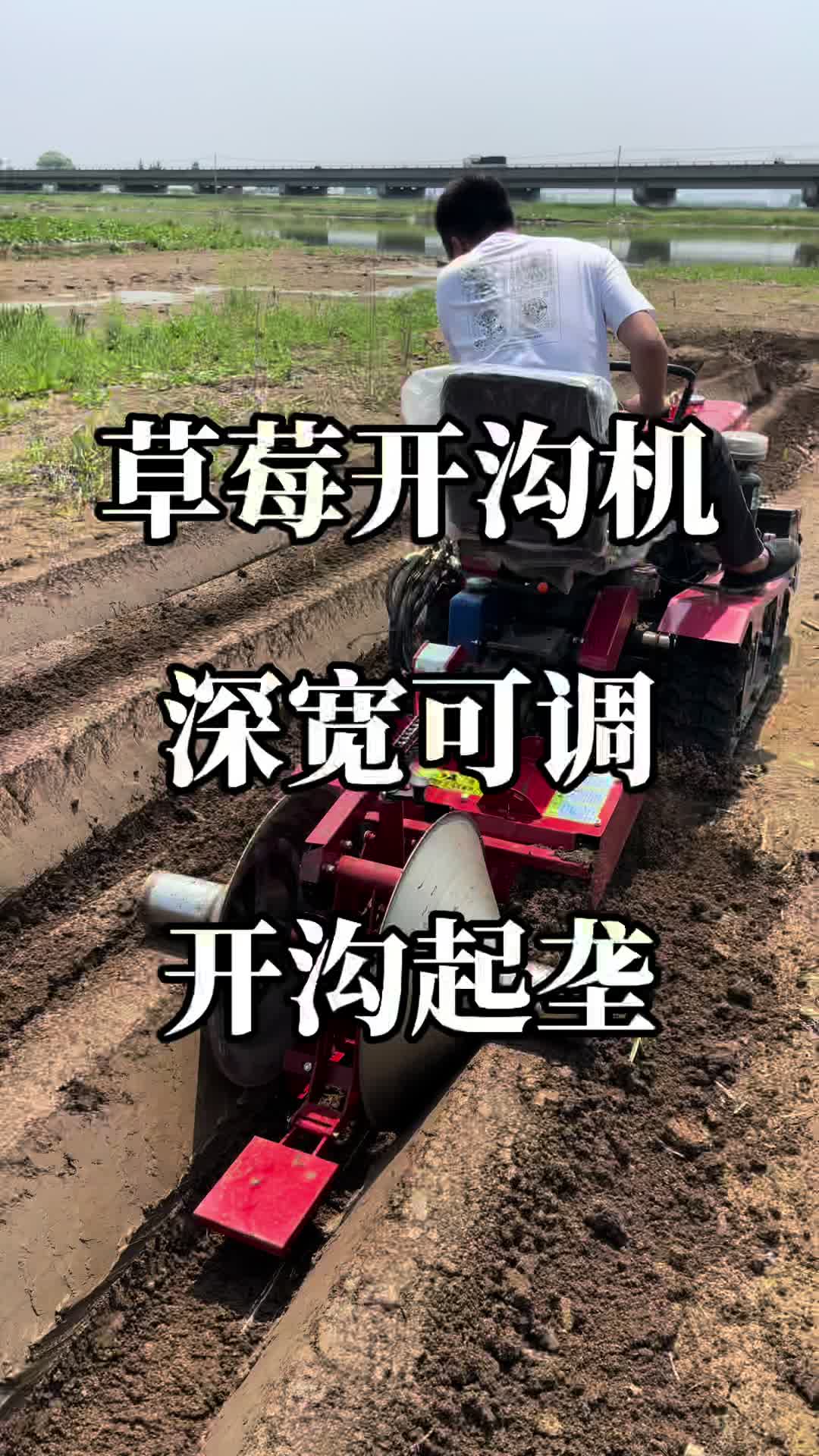 ...加装草莓起垄一体机 种植大棚开沟起垄,陇地可调节尺寸,#草莓开沟...