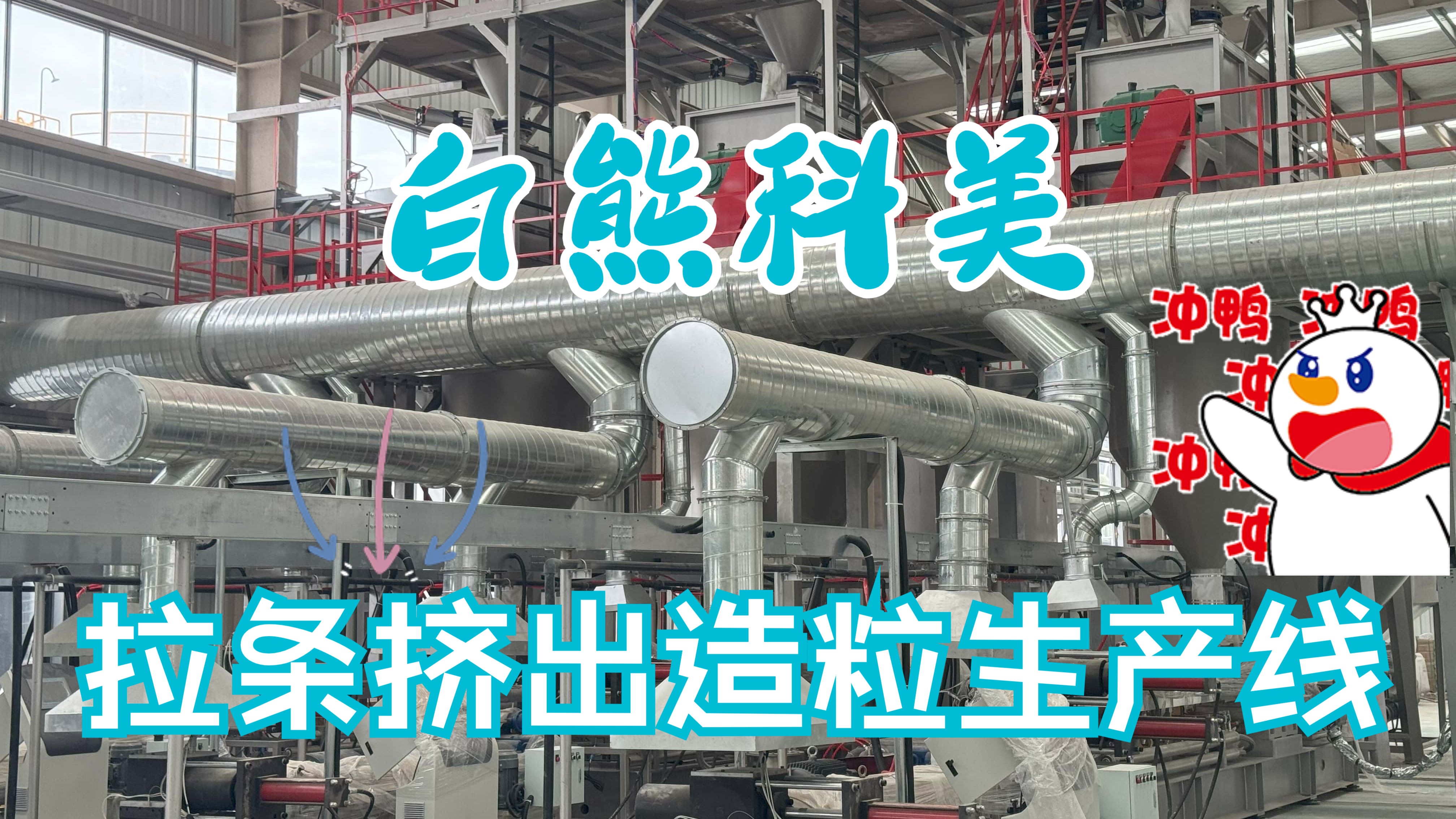 白熊科美 | 拉条挤出造粒生产线