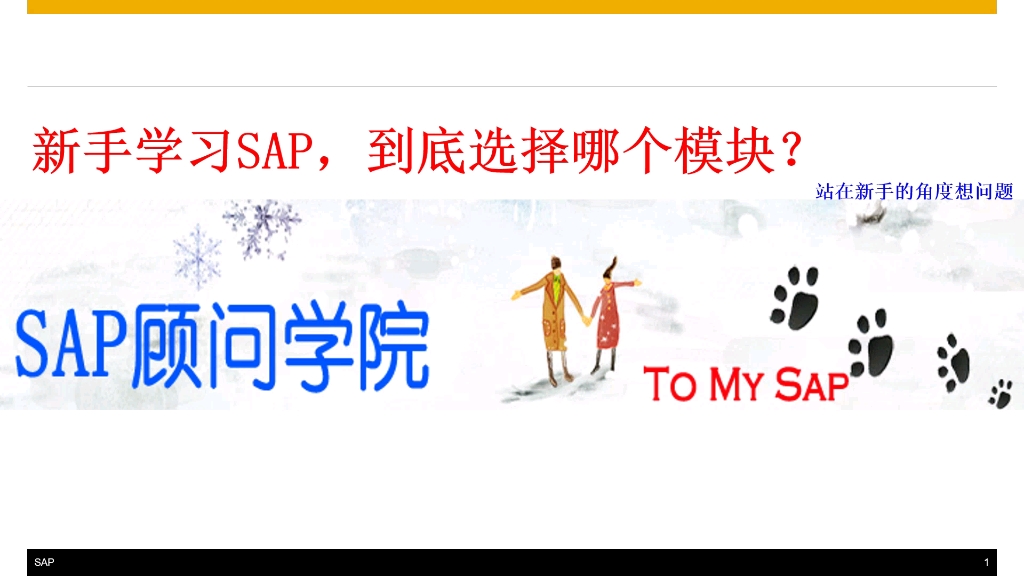 新手学习SAP,到底选择哪个模块?
