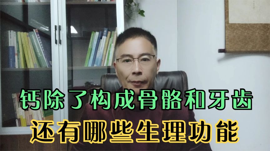 你知道,钙除了构成人体的骨骼和牙齿外,还有哪些其他生理功能吗