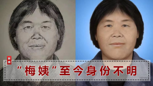 梅姨案人贩子被判死刑,主犯.