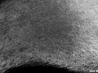 PS中性灰磨皮技巧@王者不修图