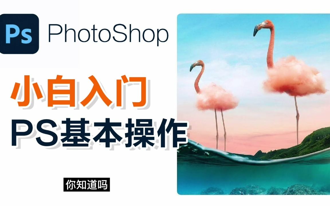 (PS教程学习)小白入门的PS基本操作