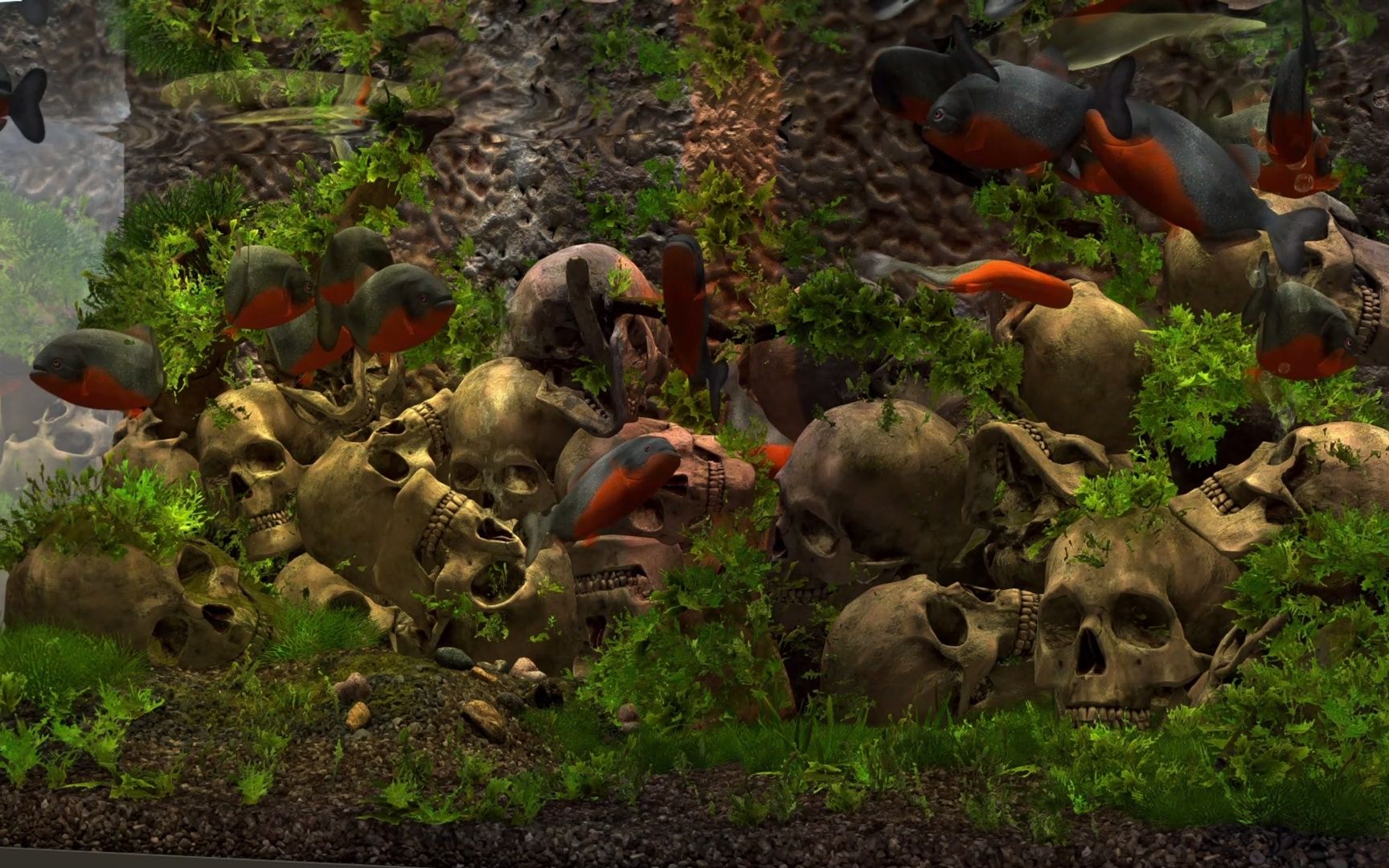 水族馆模拟器(食人鱼样本缸小改造)