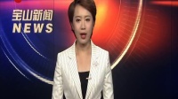 视频|10月10日起 交通违法逾期不缴纳罚款上海加收滞纳金