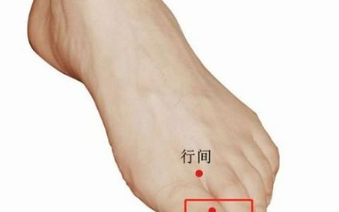 神奇穴位——大敦穴,保护肝脏,从我做起