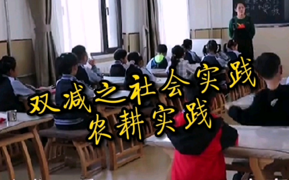 双减之教育改革社会实践——农耕